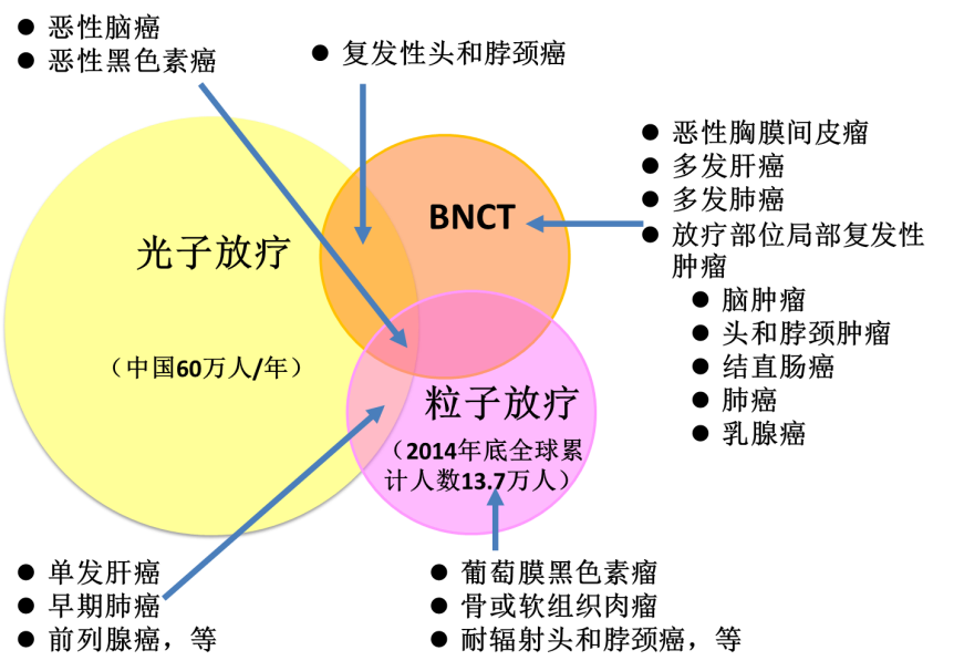 科学网—硼中子俘获疗法（BNCT）的5大特点 - 陈朝斌的博文