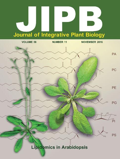 科学网—植物学期刊JIPB影响因子再创新高 - Wiley中国的博文