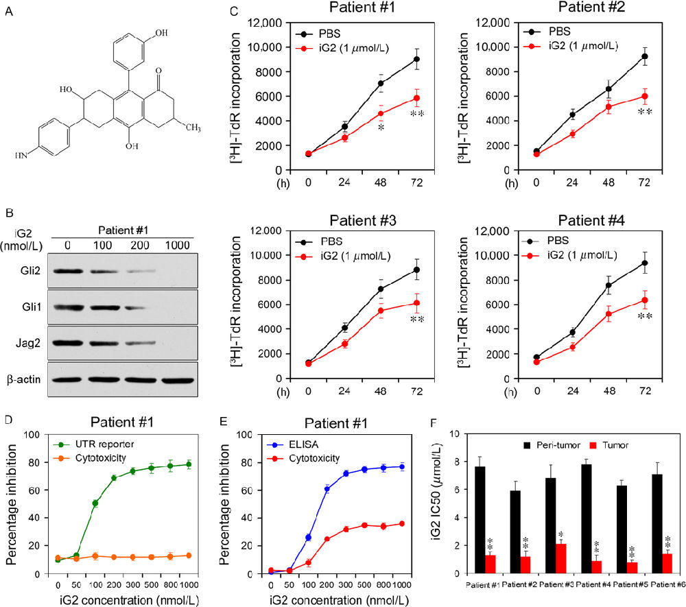 科学网—【原创】Cancer Medicine：一种新型膀胱癌干细胞药物 iG2 - 李翀的博文