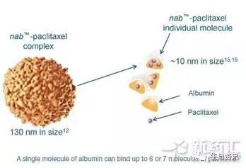 纳米药物抗肿瘤：小尺度大风浪（上篇） - 细胞生物学和信号转导版 -丁香园论坛