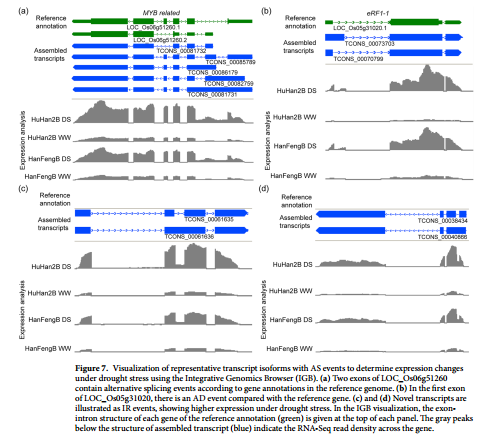 科学网—菜鸟入门记——IGV的使用 - 厚蕊燕的博文