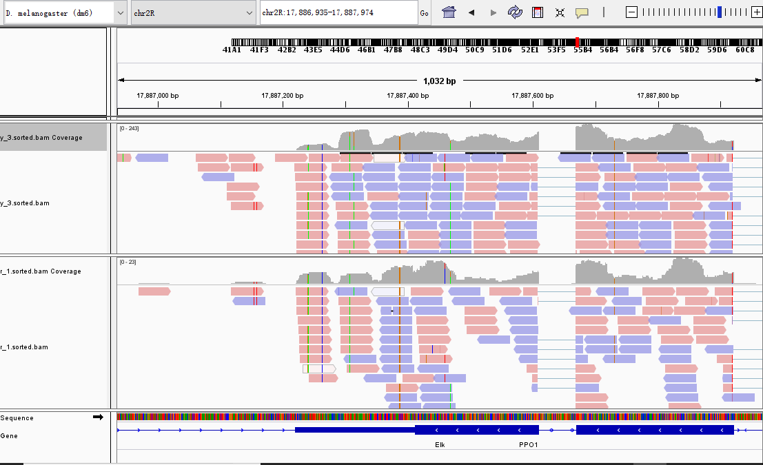 科学网—菜鸟入门记——IGV的使用 - 厚蕊燕的博文