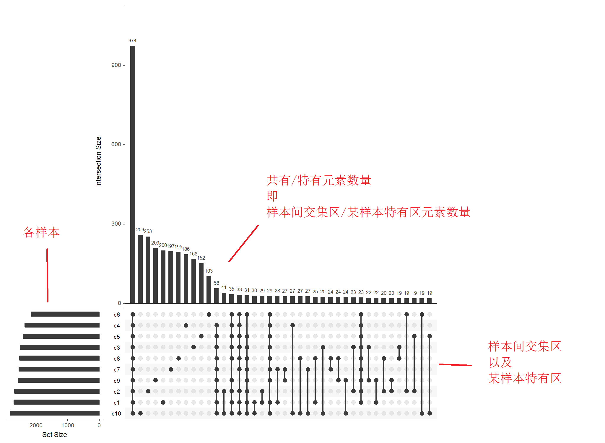 使用 R 绘制花瓣图（ Flower plot