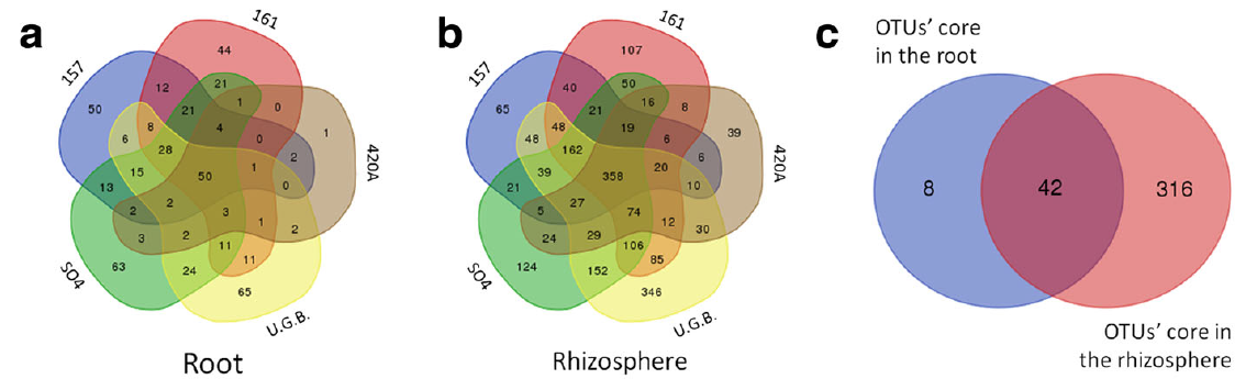 科学网—绘制韦恩图（Venn plot）和花瓣图（Flower plot）的几个常用R包及在线网站 - 刘尧的博文