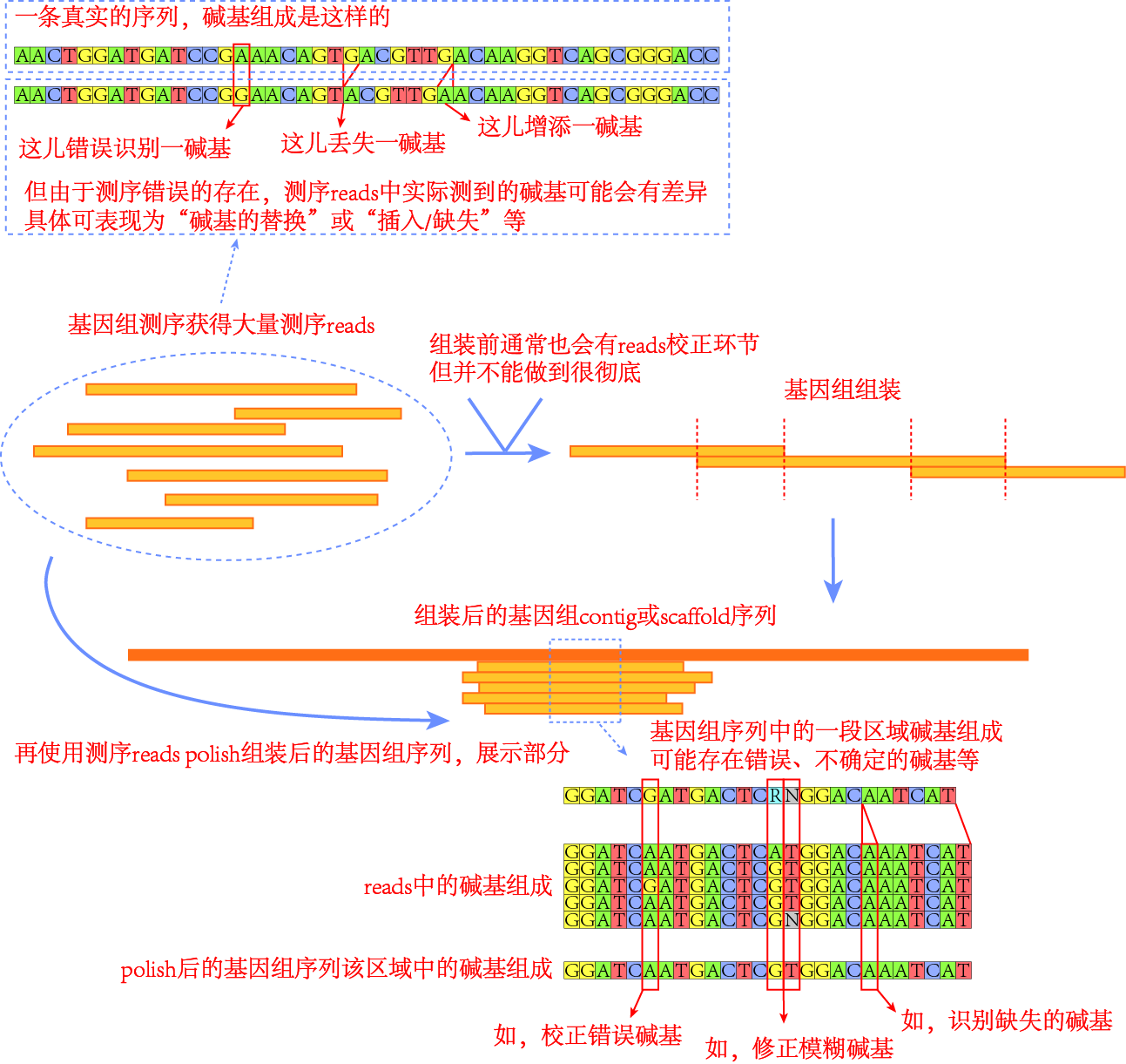 科学网—Illumina、PacBio和Nanopore的基因组polish - 刘尧的博文