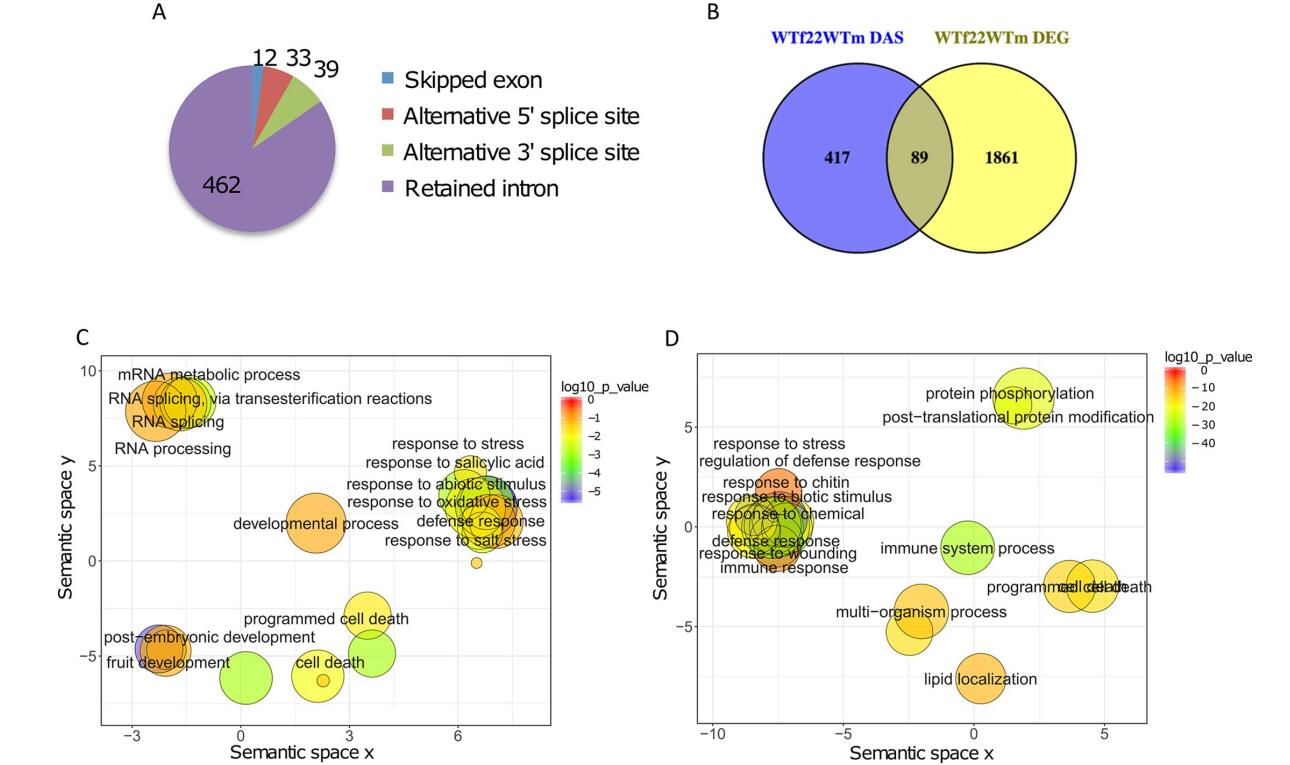 科学网—MPK4在植物免疫引起可变剪切的作用【2020.04.17】 - 张倩的博文